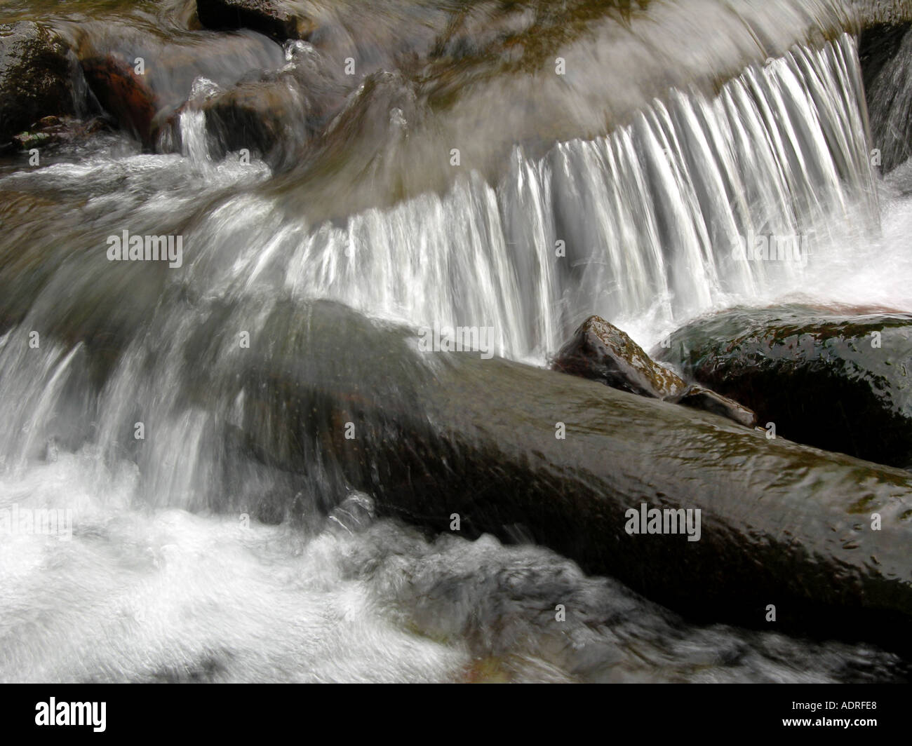 Jodie rivers hi-res stock photography and images - Alamy