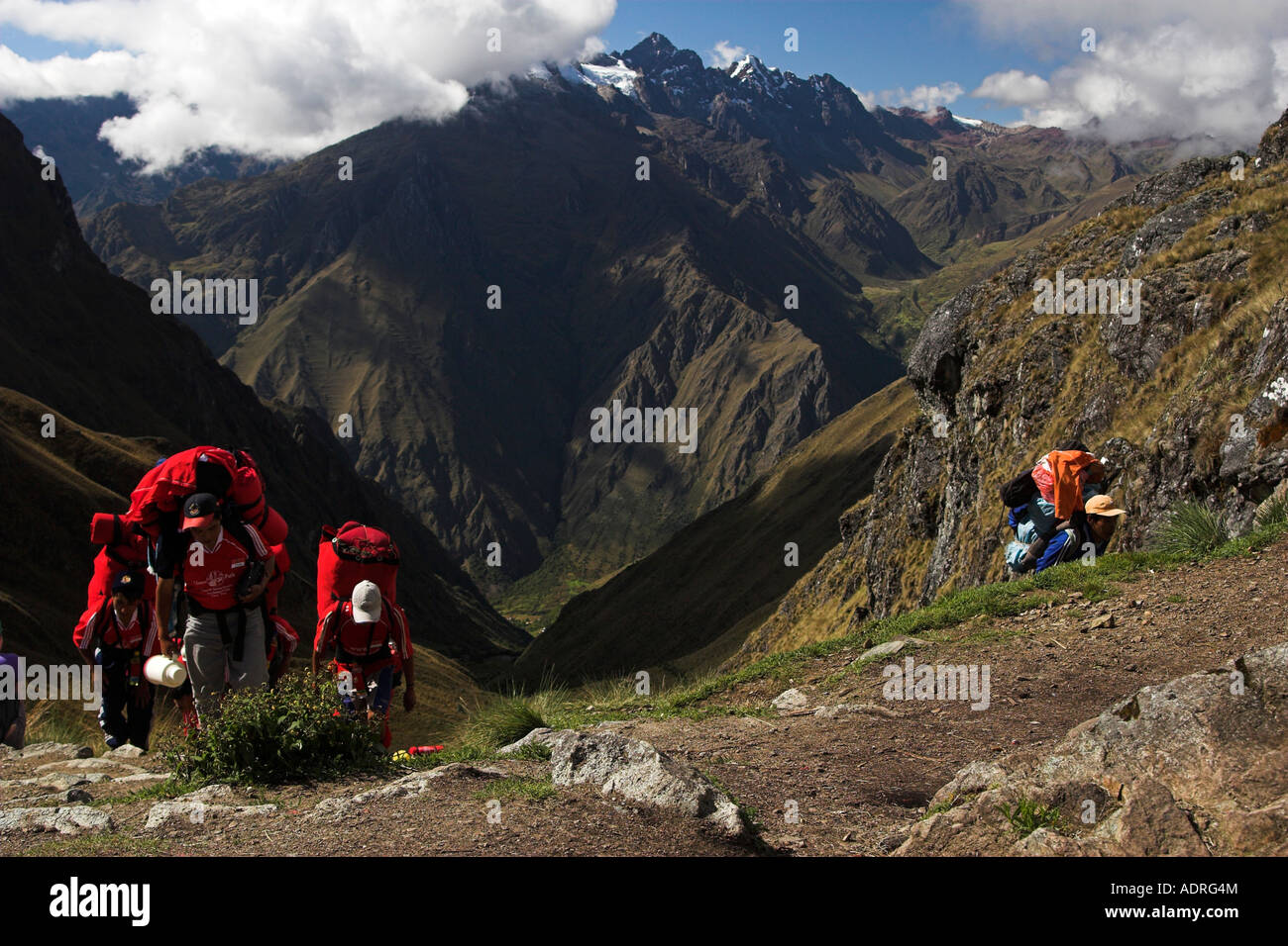 Peruvian porters climbing summit of "Dead Woman's Pass", [Inca Trail ...