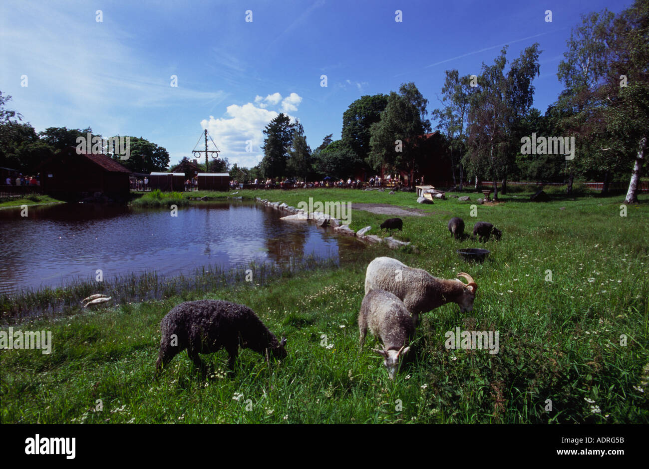 Akalla High Resolution Stock Photography and Images - Alamy