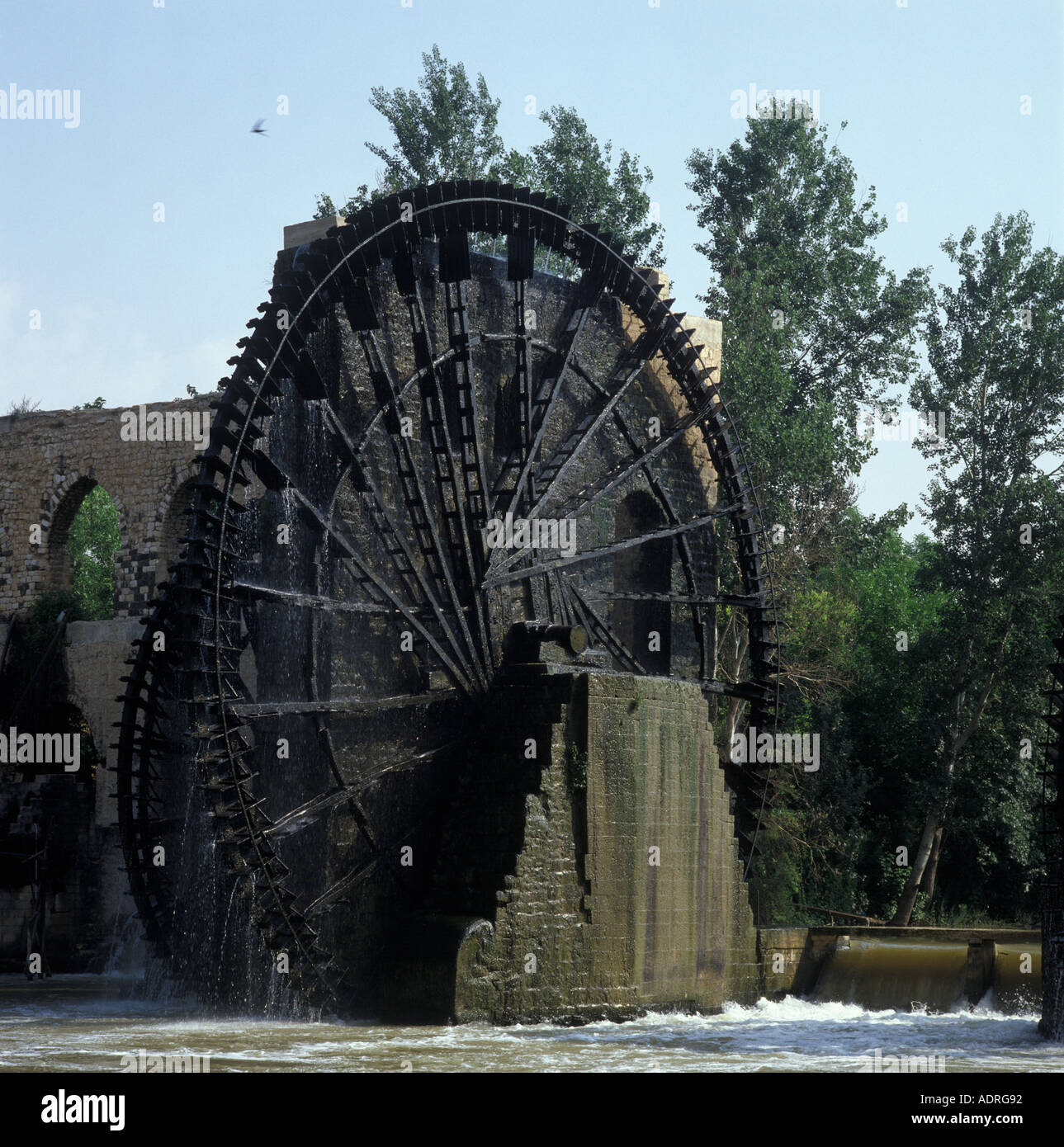 Noria hama water irrigation hi-res stock photography and images - Alamy