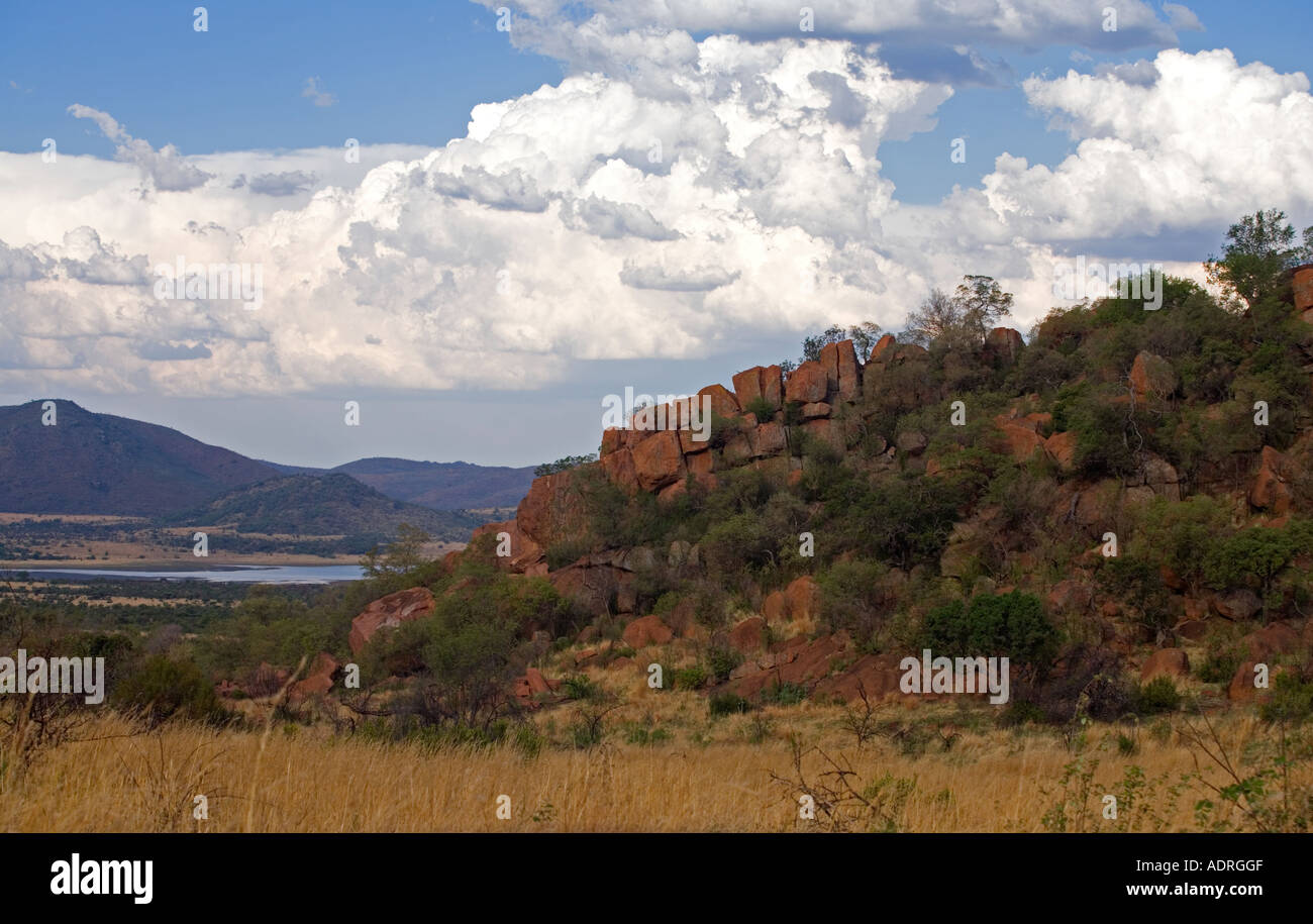 pilanesberg national park-landscape Stock Photo - Alamy