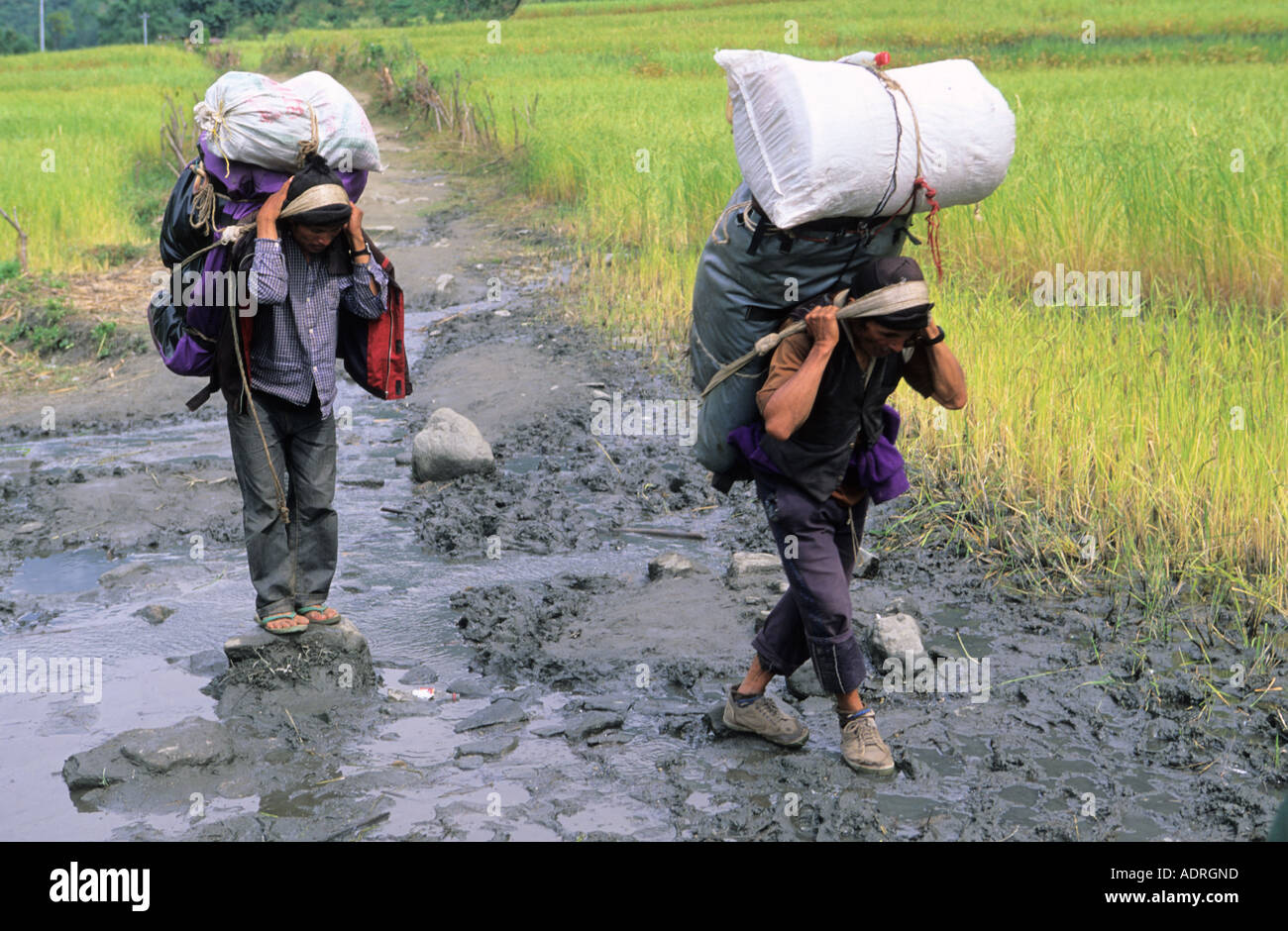 Nepali porters in Annapurna region near Ngadi village Nepal Stock Photo ...