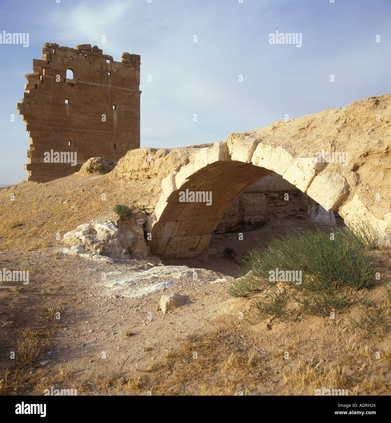 The umayyad palace hi-res stock photography and images - Alamy