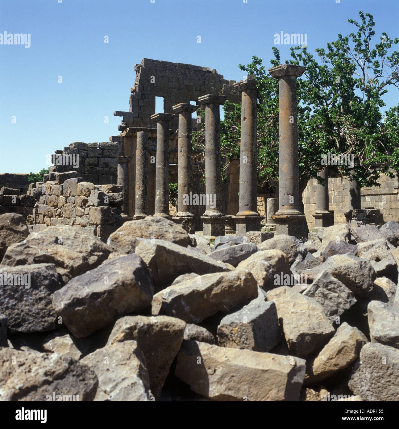 Shahba Stock Photos & Shahba Stock Images - Alamy