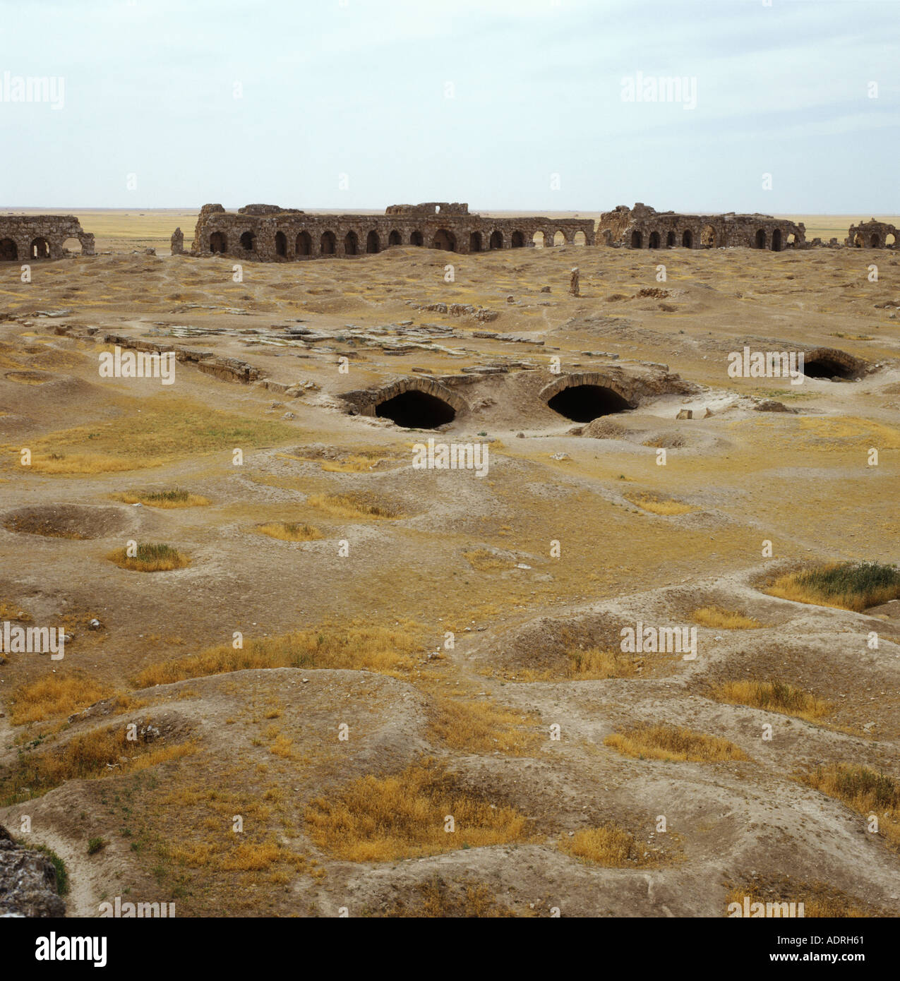 Sergiopolis hi-res stock photography and images - Alamy
