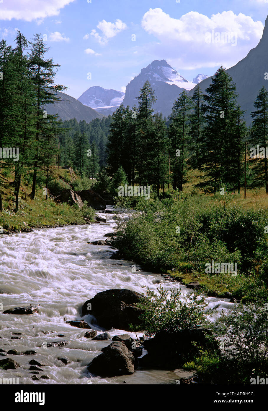 Parc gran paradiso hi-res stock photography and images - Alamy