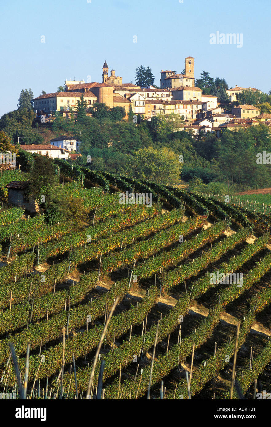 Neive italy barbaresco hi-res stock photography and images - Alamy