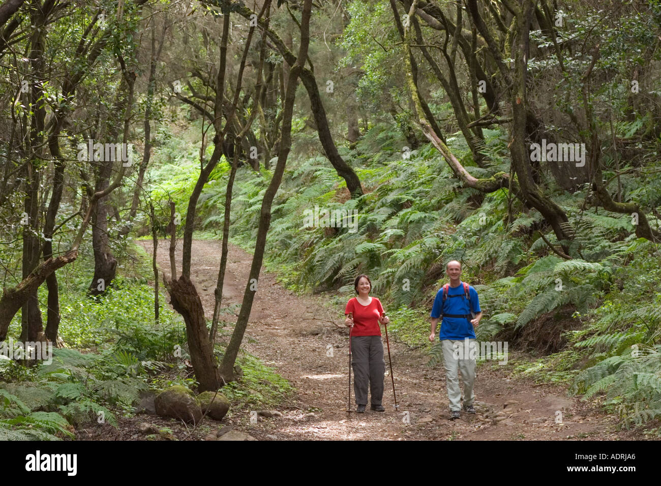 Garajonay and walker hi-res stock photography and images - Alamy