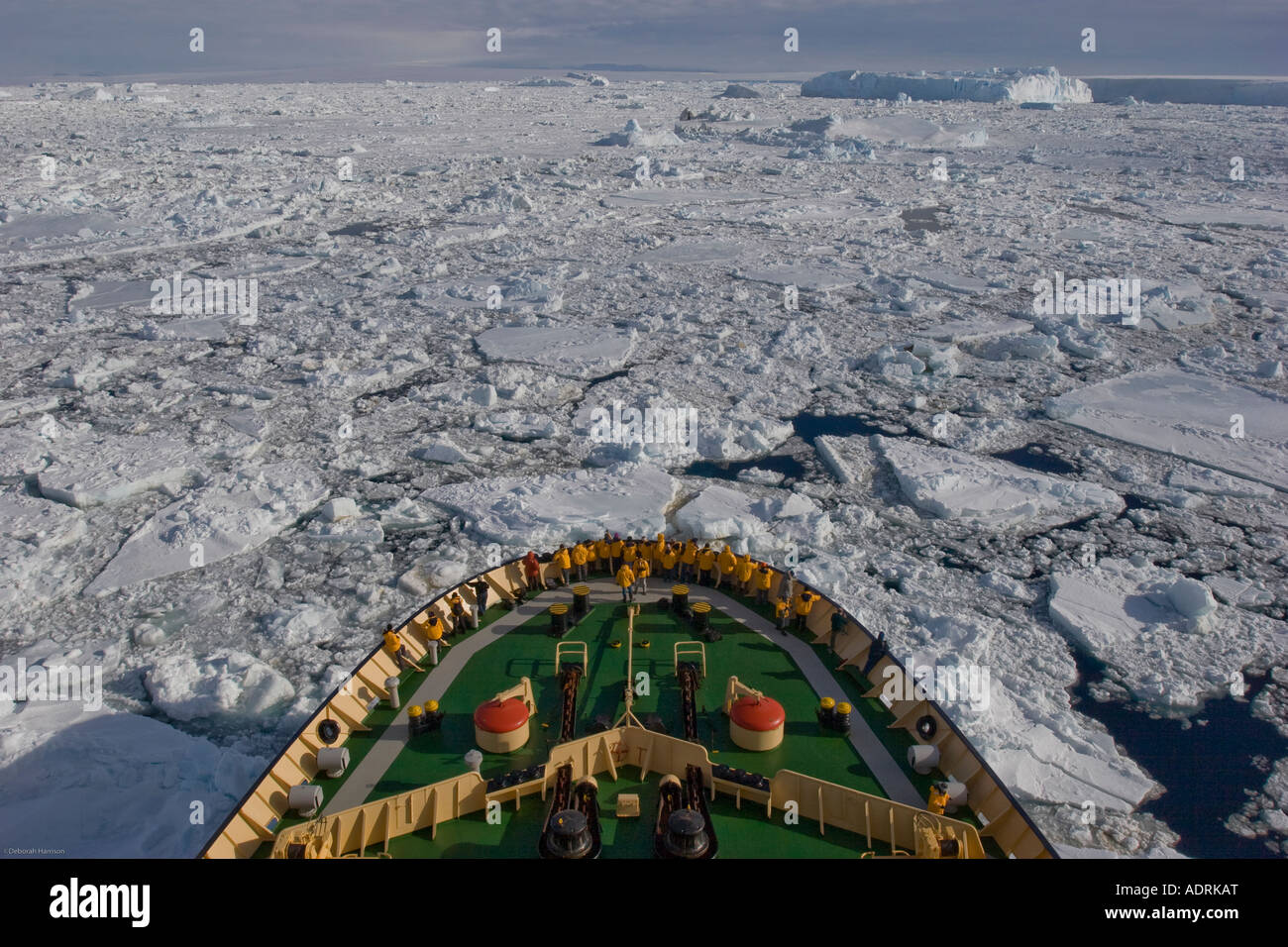 Icebreaker heading through pack ice Stock Photo - Alamy