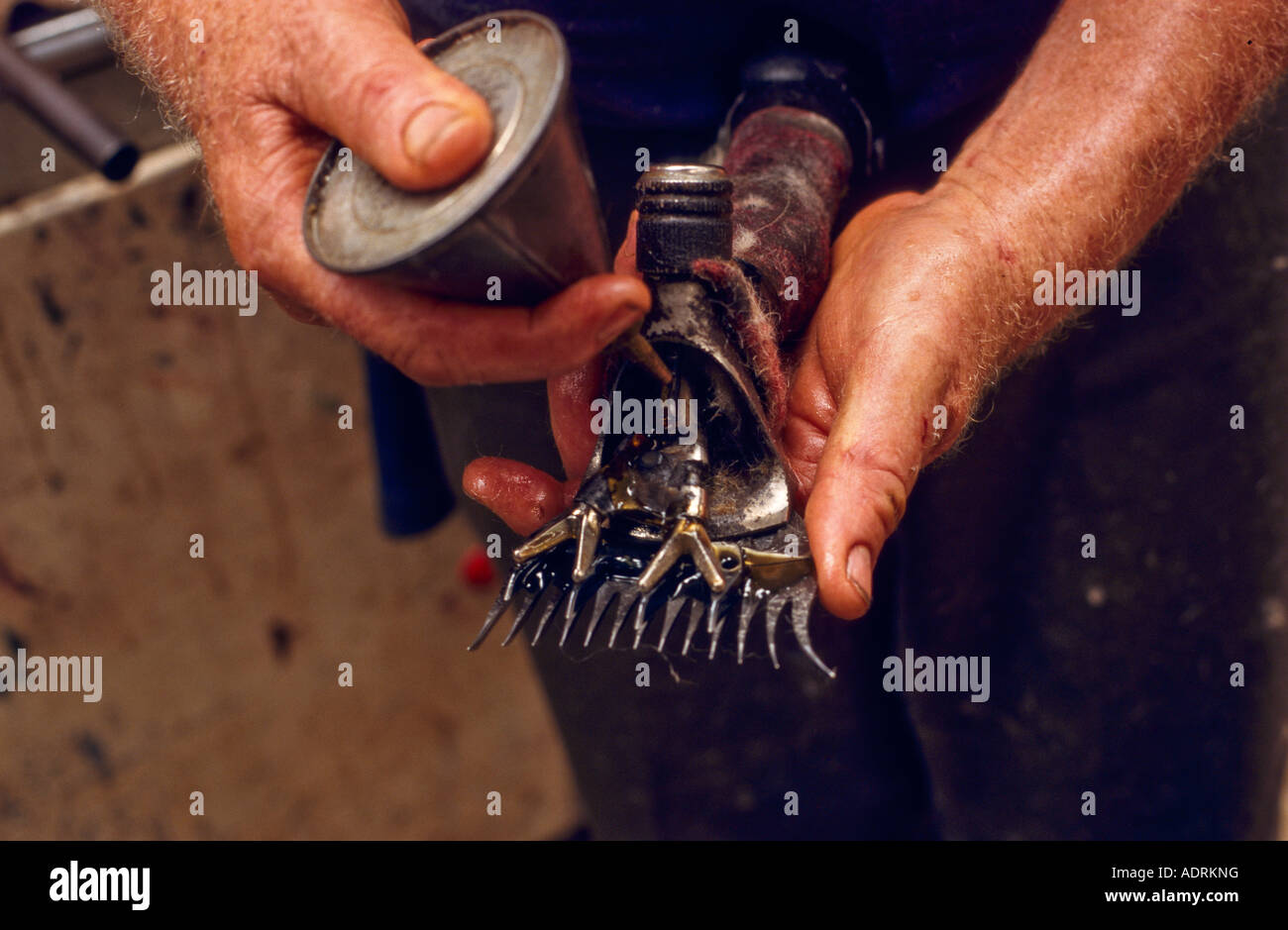 Shearing tools hi-res stock photography and images - Alamy