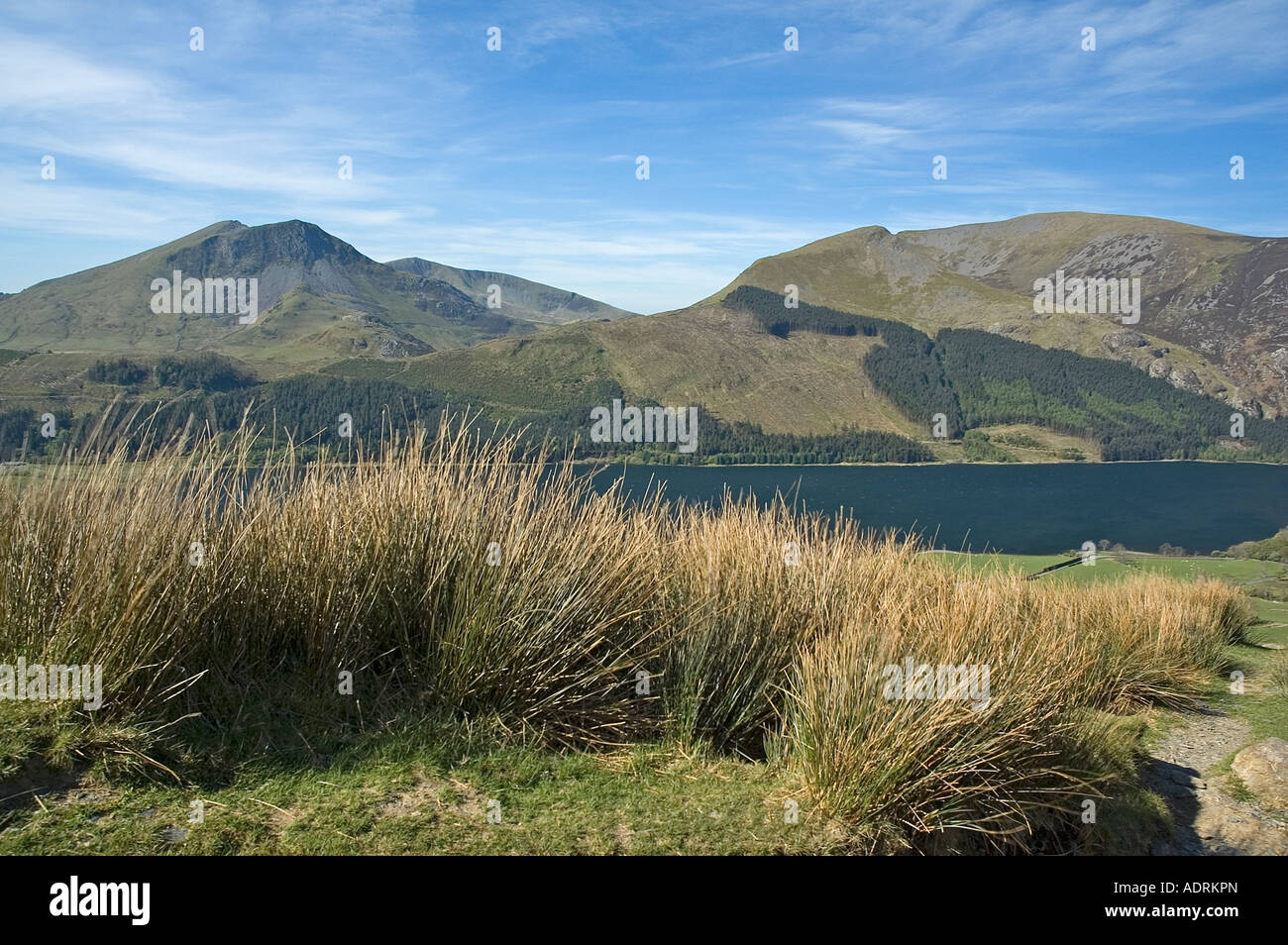 Snowdon ranger hi-res stock photography and images - Alamy