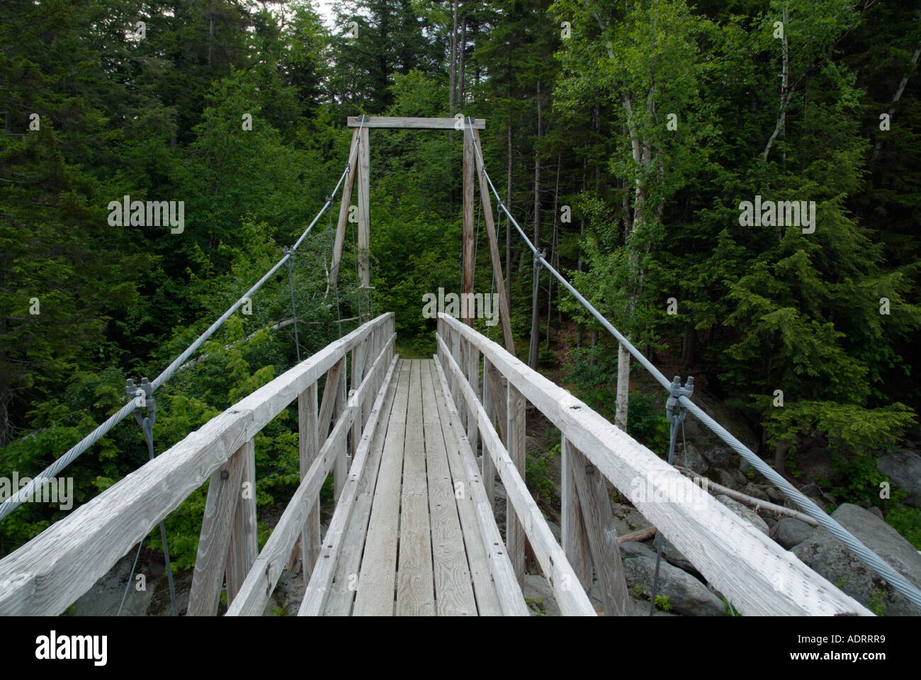 Wooden bridge along the Great Gulf Trail in the White Mountain National ...