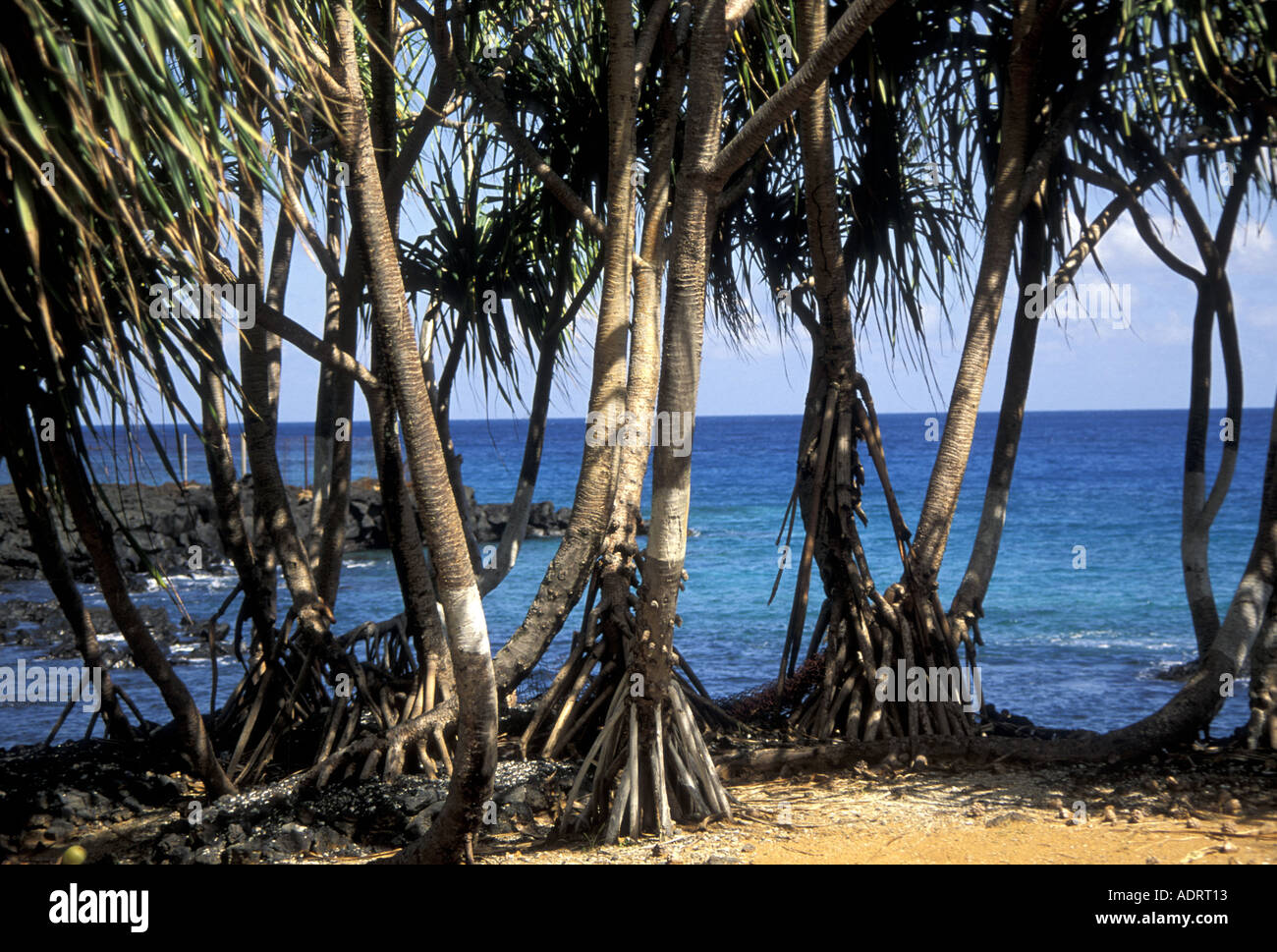 Comores hi-res stock photography and images - Alamy