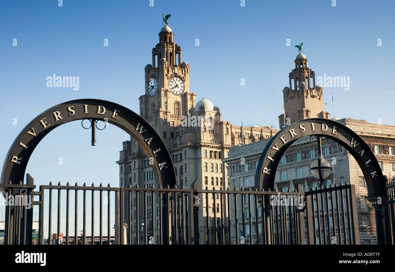 Riverside Walk Arches and the Royal Liver Building Liverpool Merseyside ...