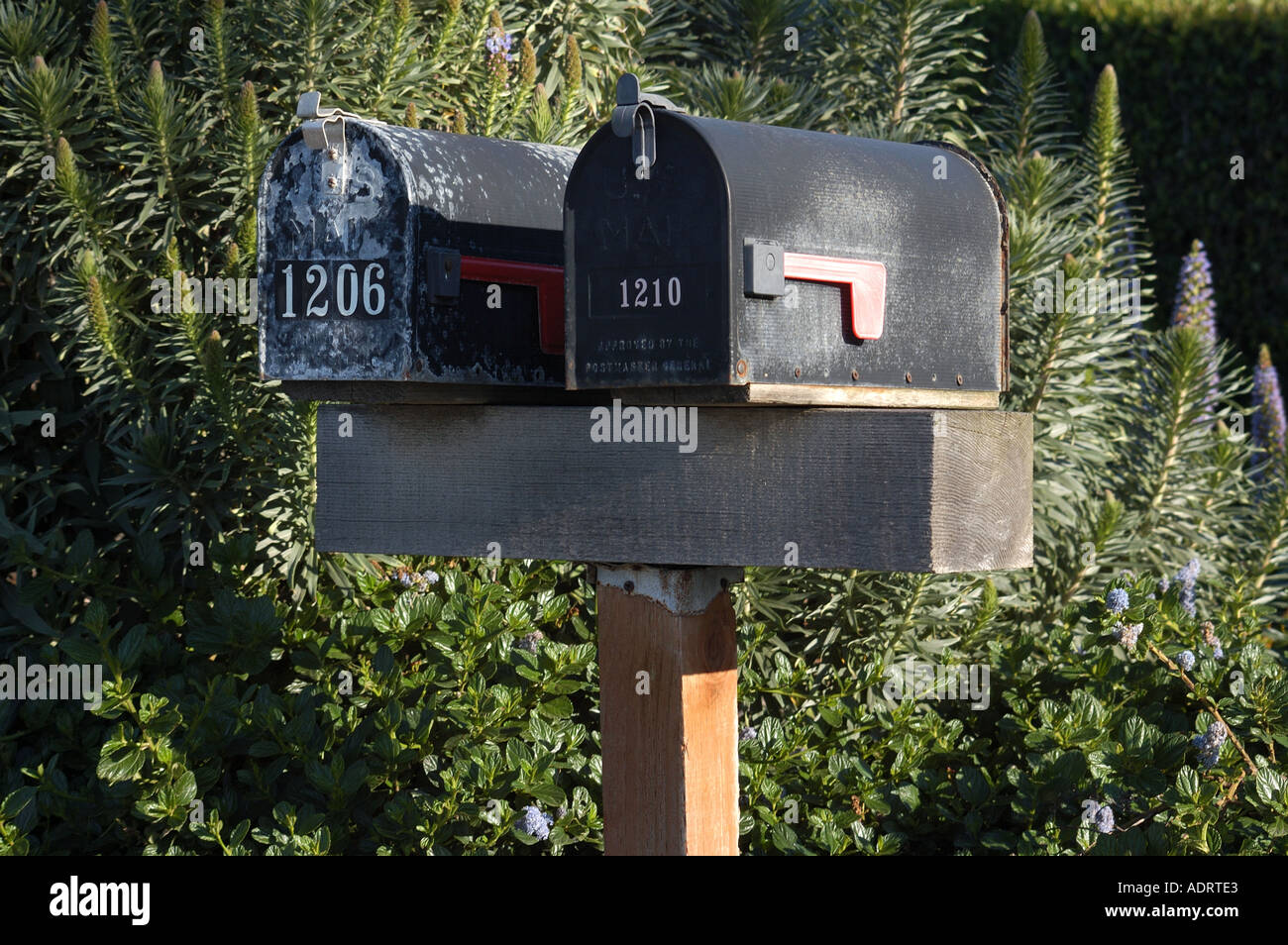 Postal service mailboxes hi-res stock photography and images - Alamy