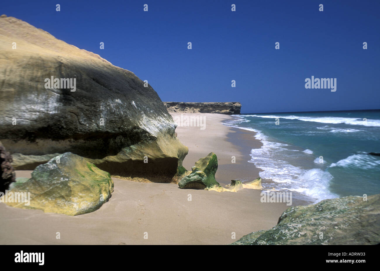 Ras al Hadd green turtle nesting beach on the Arabian Sea shoreline of ...