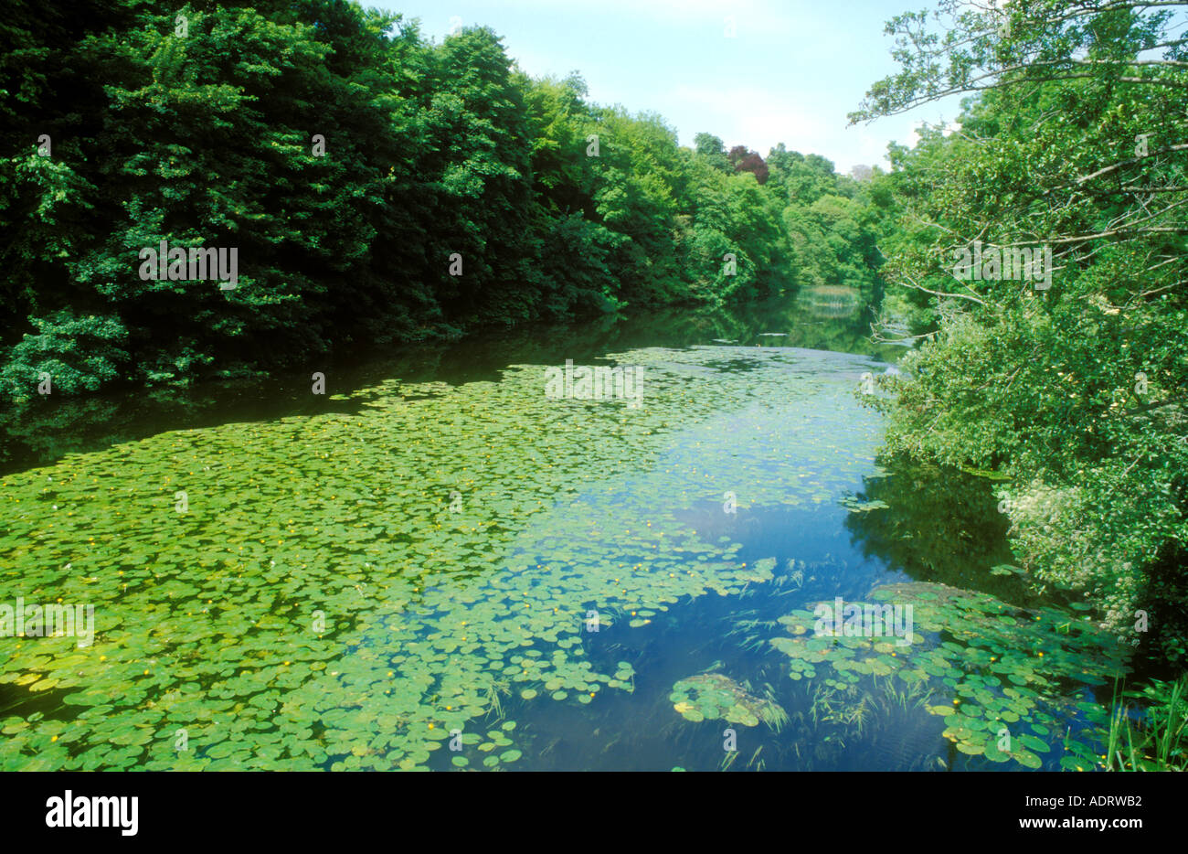Fiddleford mill hi-res stock photography and images - Alamy