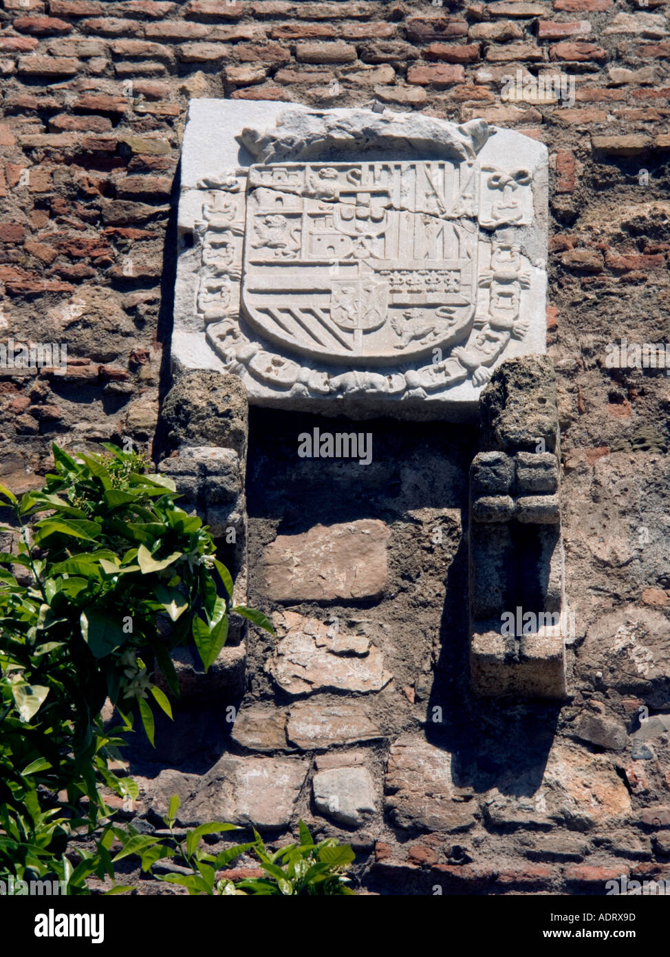 Heraldry Emblem or Shield detail heraldry emblem shield lion castle ...