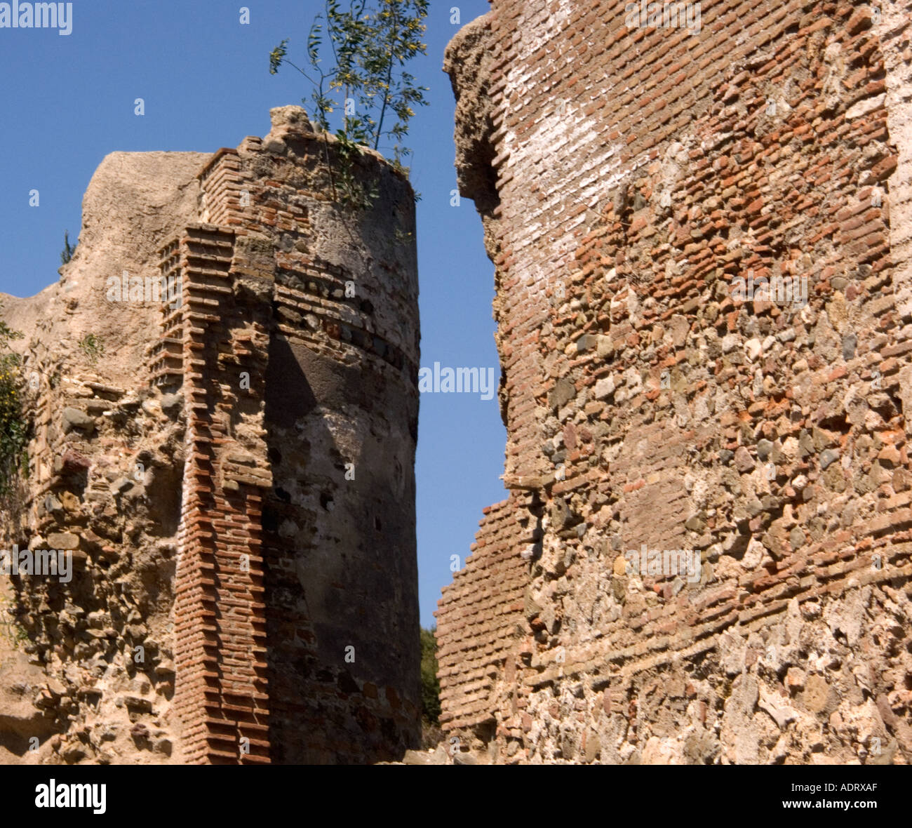 Moorish walls, La Alcazaba, Malaga City, Andalucia, Spain, Europe, palm ...