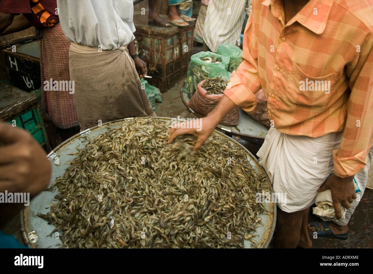 The fish market in Dhaka Bangladesh 2006 Stock Photo - Alamy