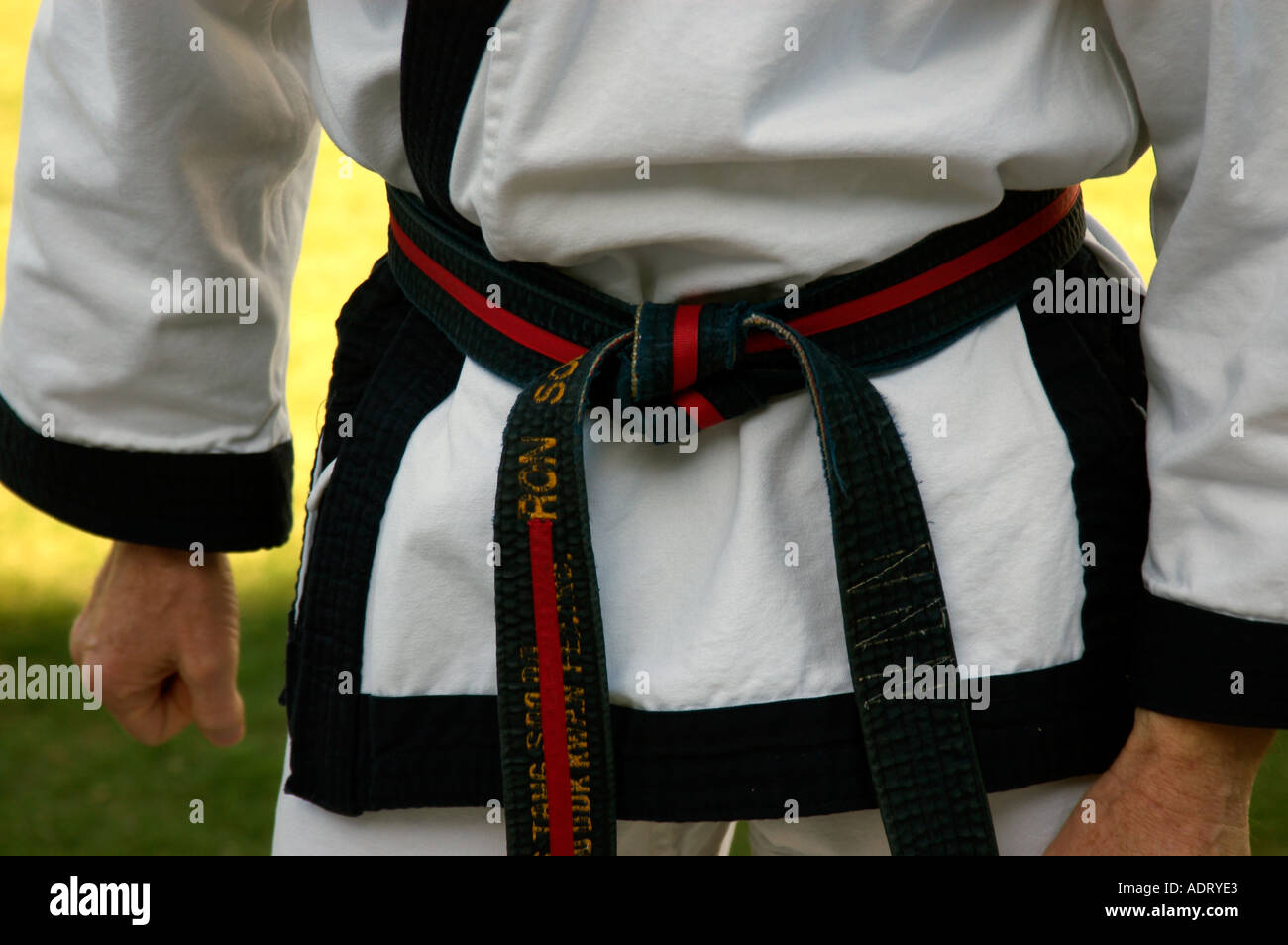 karate master Stock Photo - Alamy