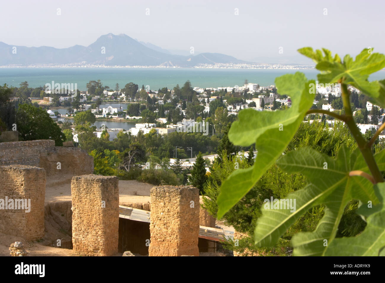 Carthage Tunisia Landscape High Resolution Stock Photography and Images ...