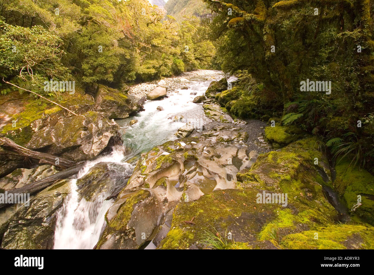 new zealand south island cleddau river Stock Photo - Alamy