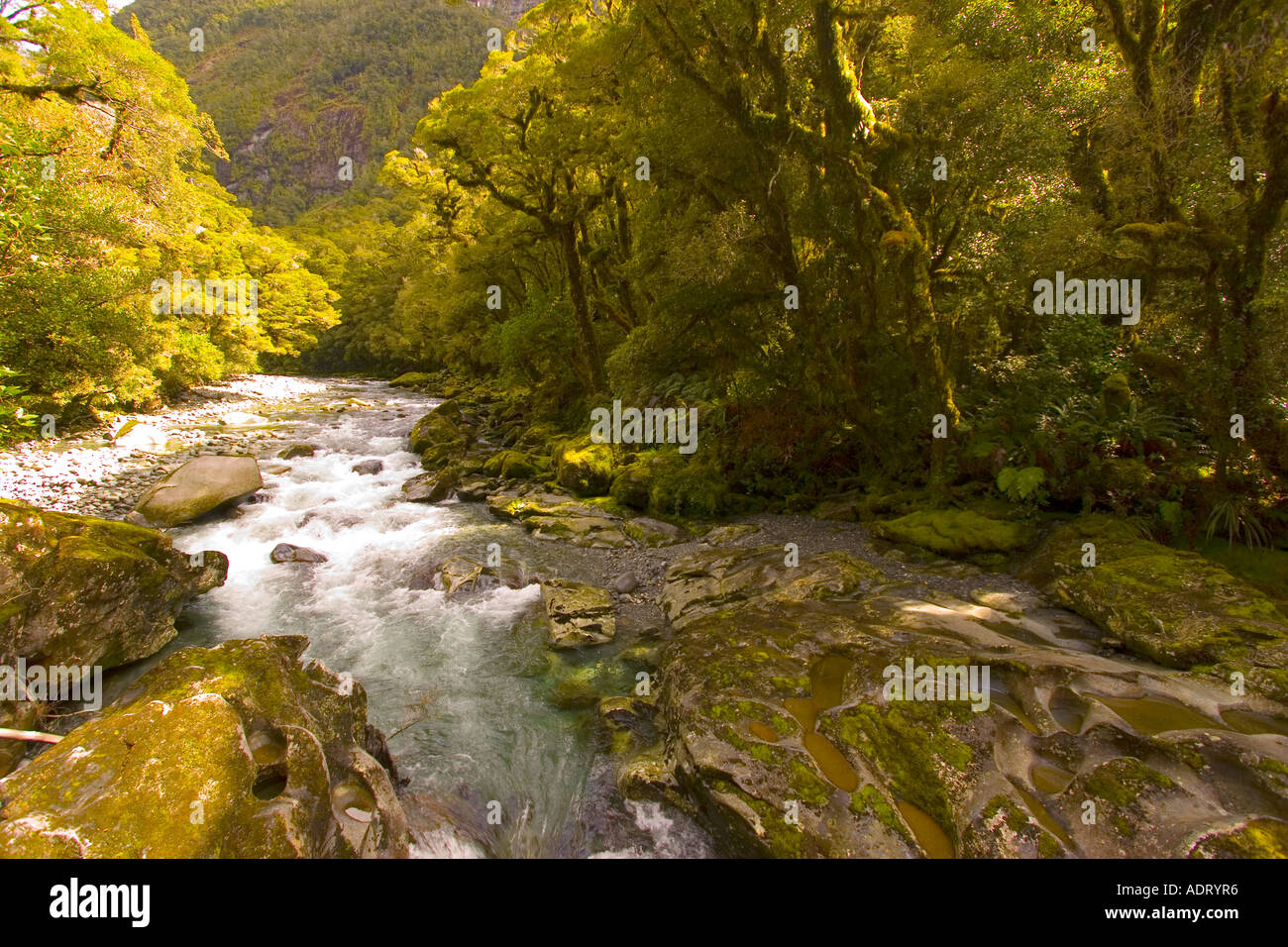 new zealand south island cleddau river Stock Photo - Alamy