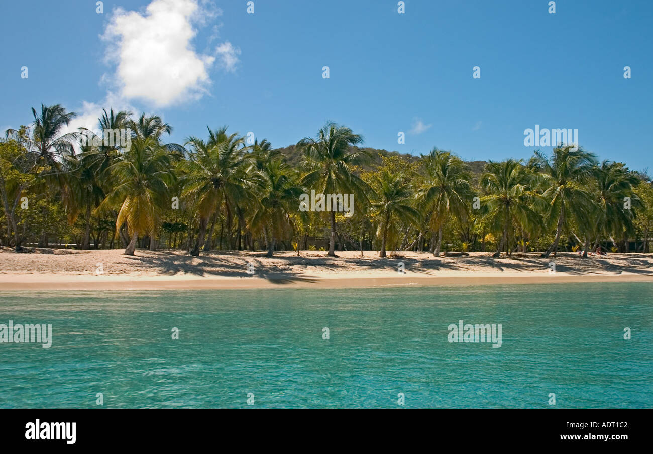 Beach on Mayreau Stock Photo - Alamy