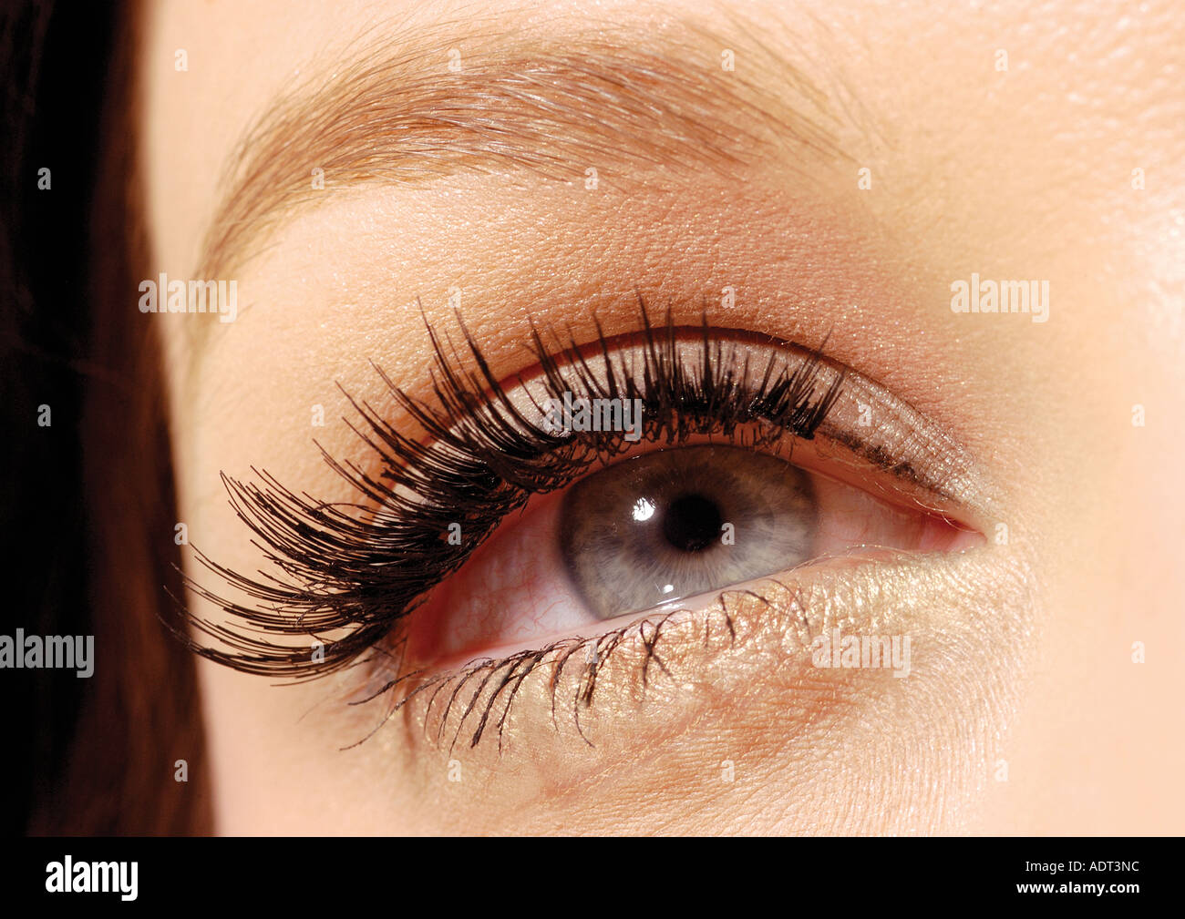 Face Close ups Female Stock Photo - Alamy