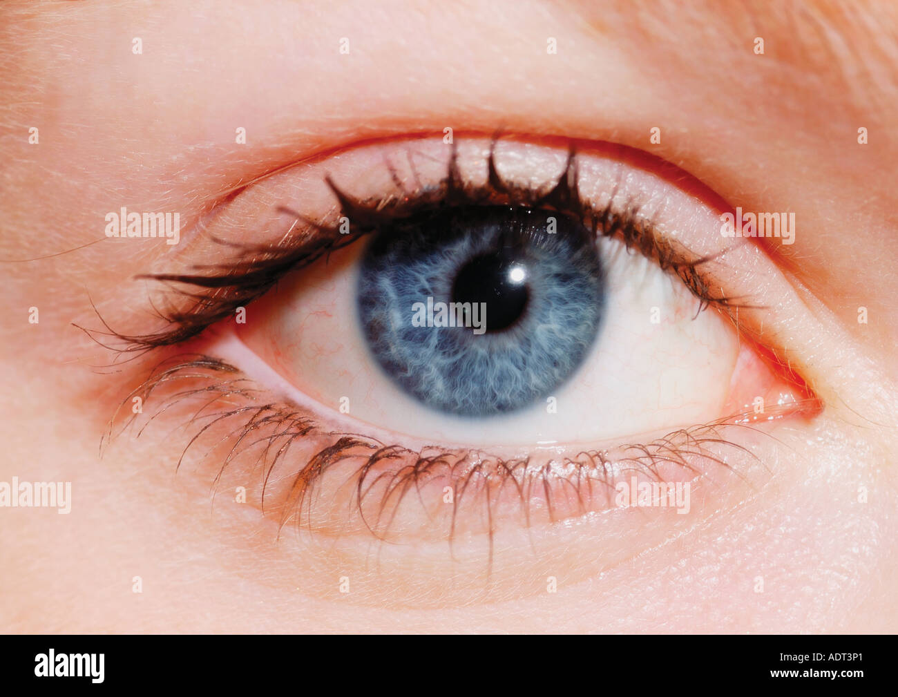 Face Close ups Female Stock Photo - Alamy