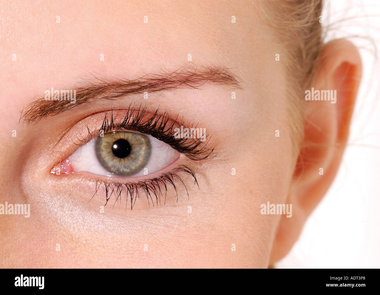 Face Close ups Female Stock Photo - Alamy