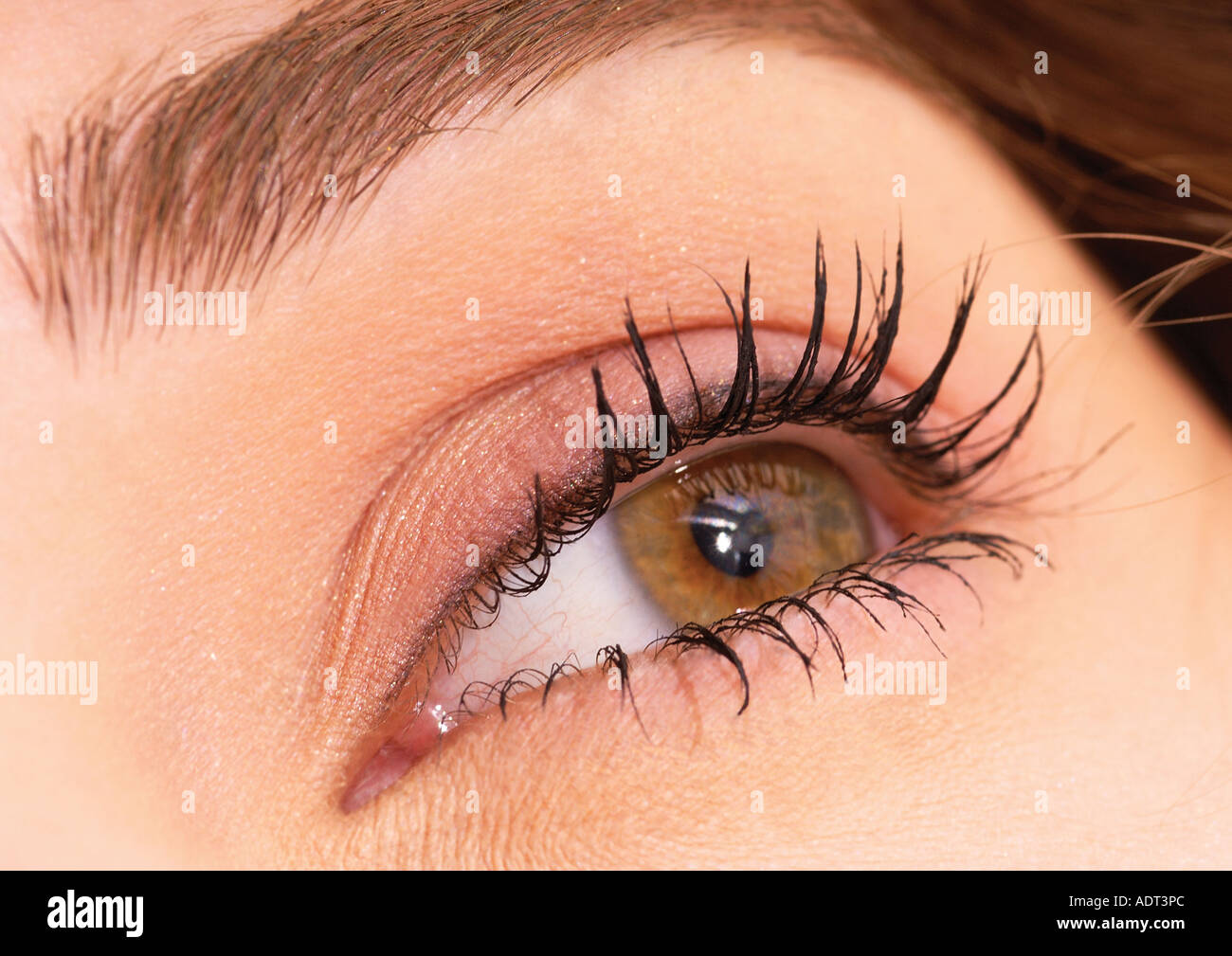 Face Close ups Female Stock Photo - Alamy