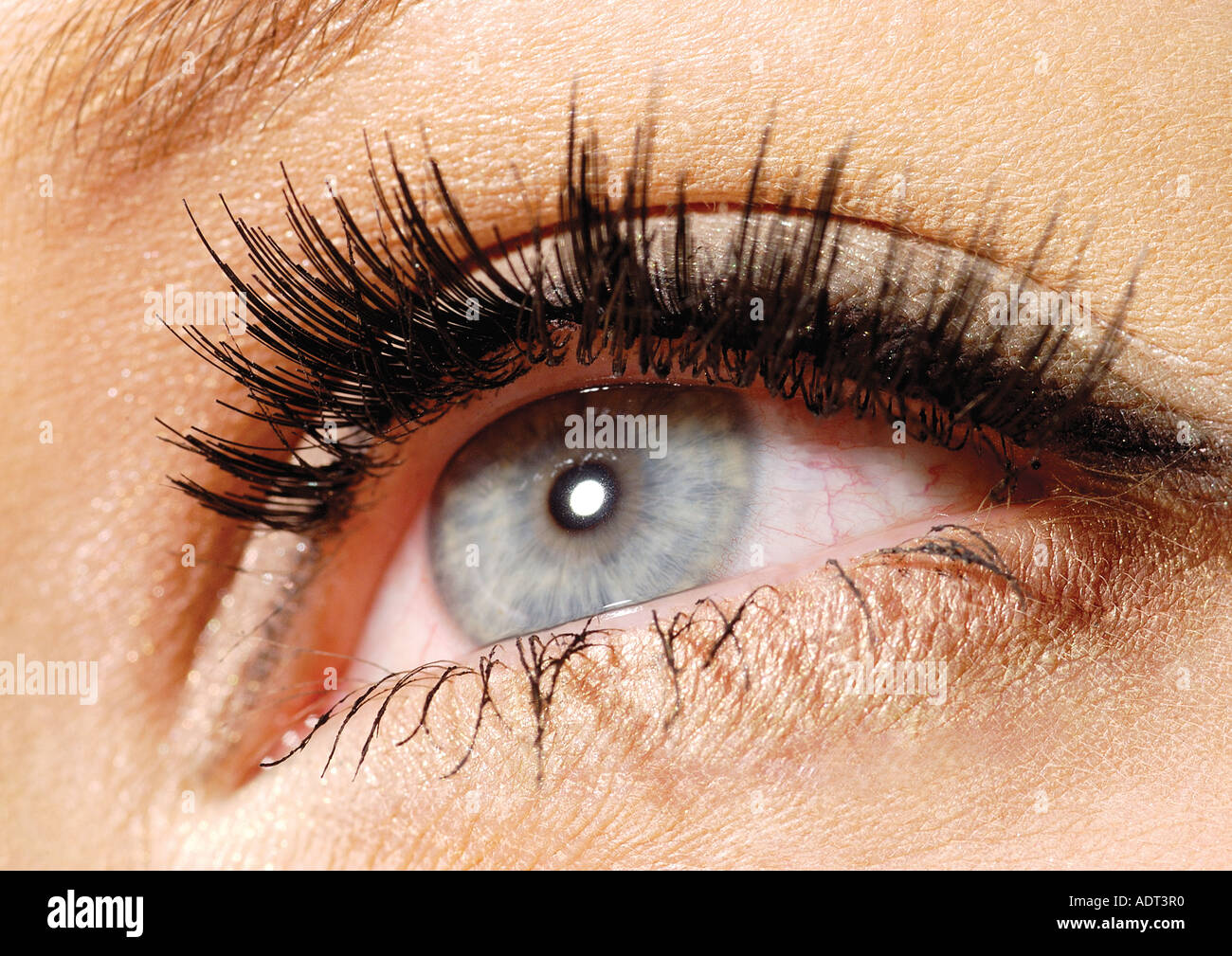 Face Close ups Female Stock Photo - Alamy