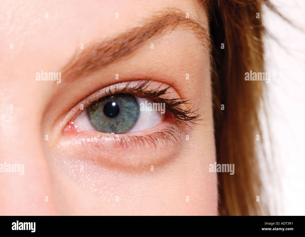 Face Close ups Female Stock Photo - Alamy