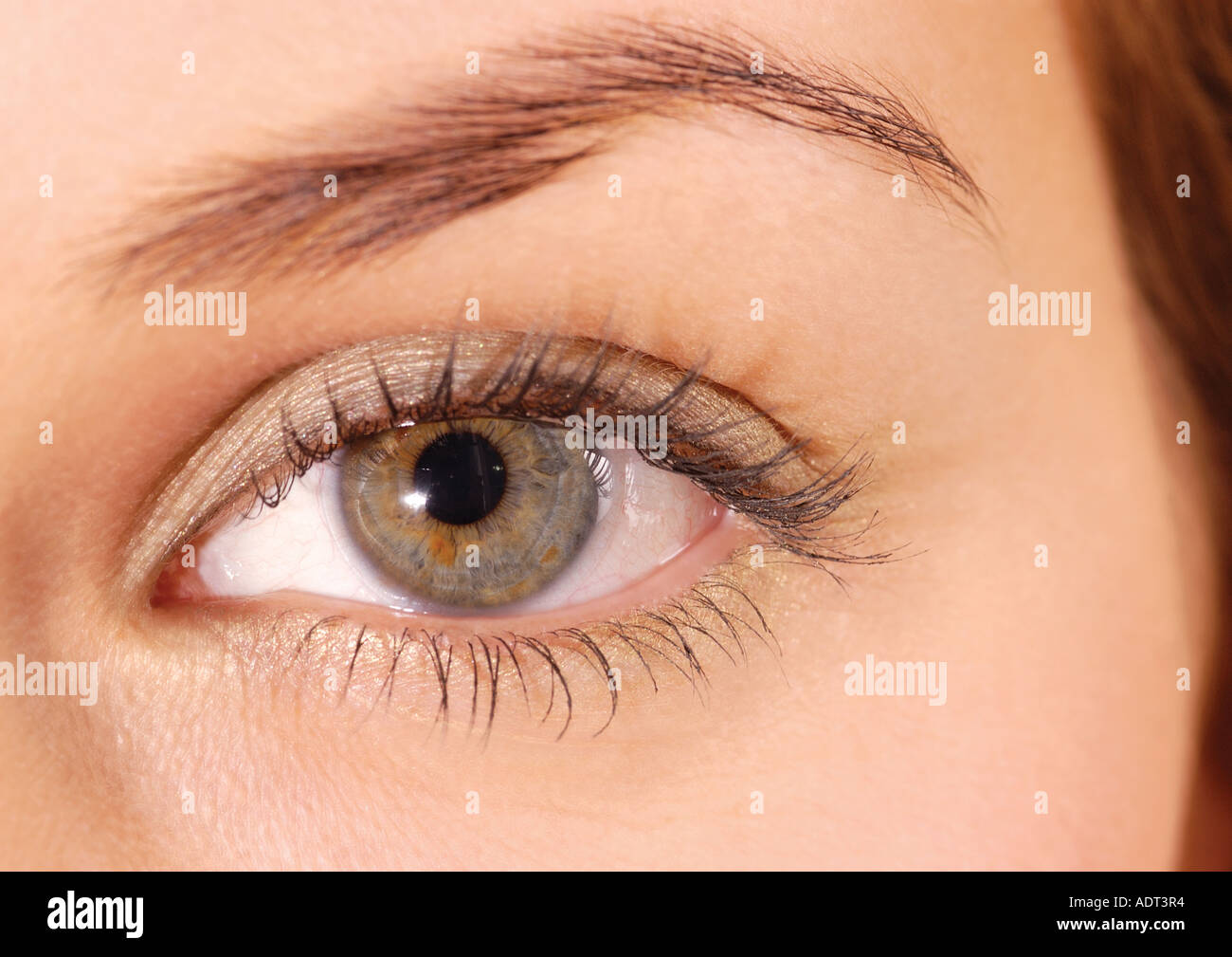 Face Close ups Female Stock Photo - Alamy