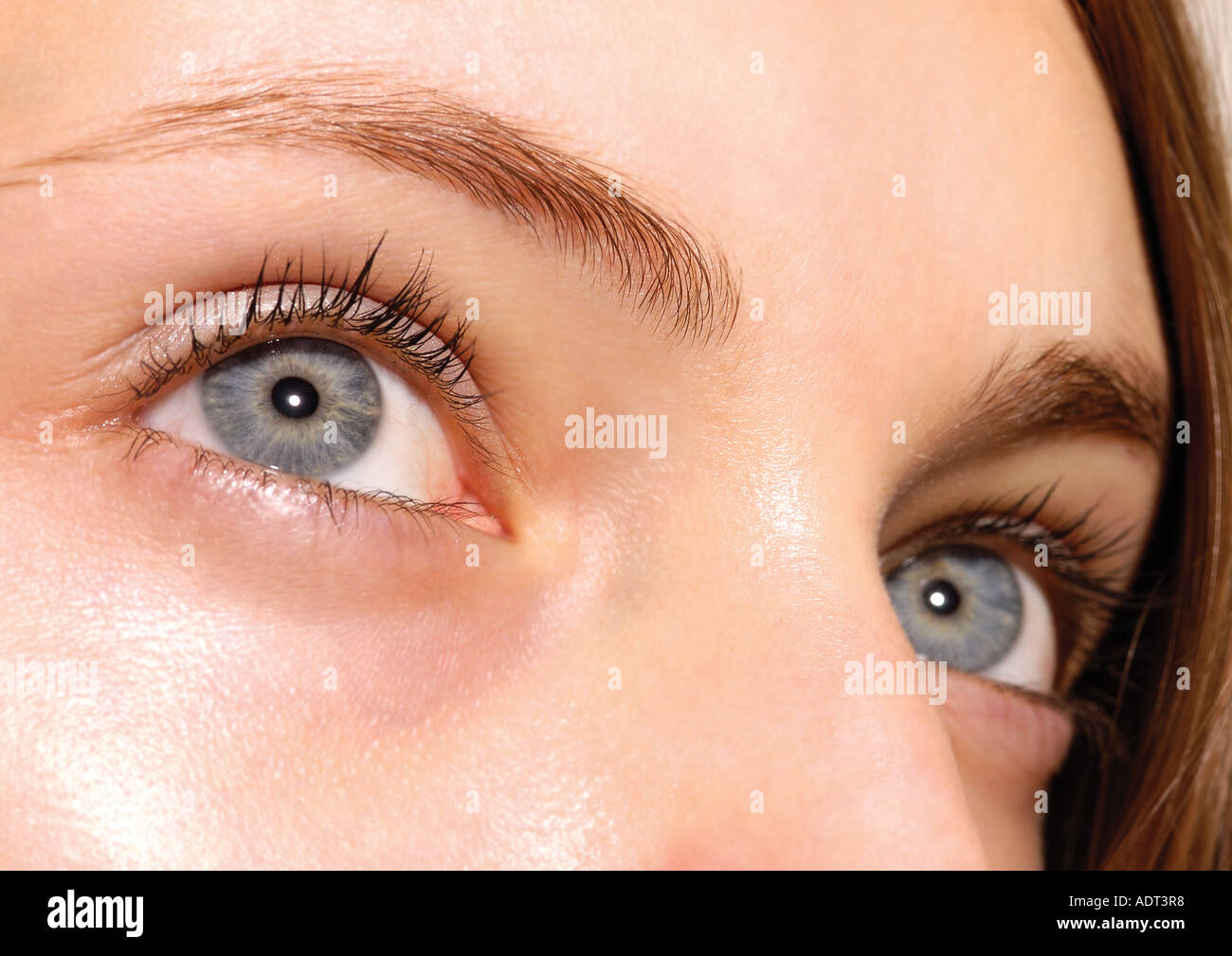 Face Close ups Female Stock Photo - Alamy