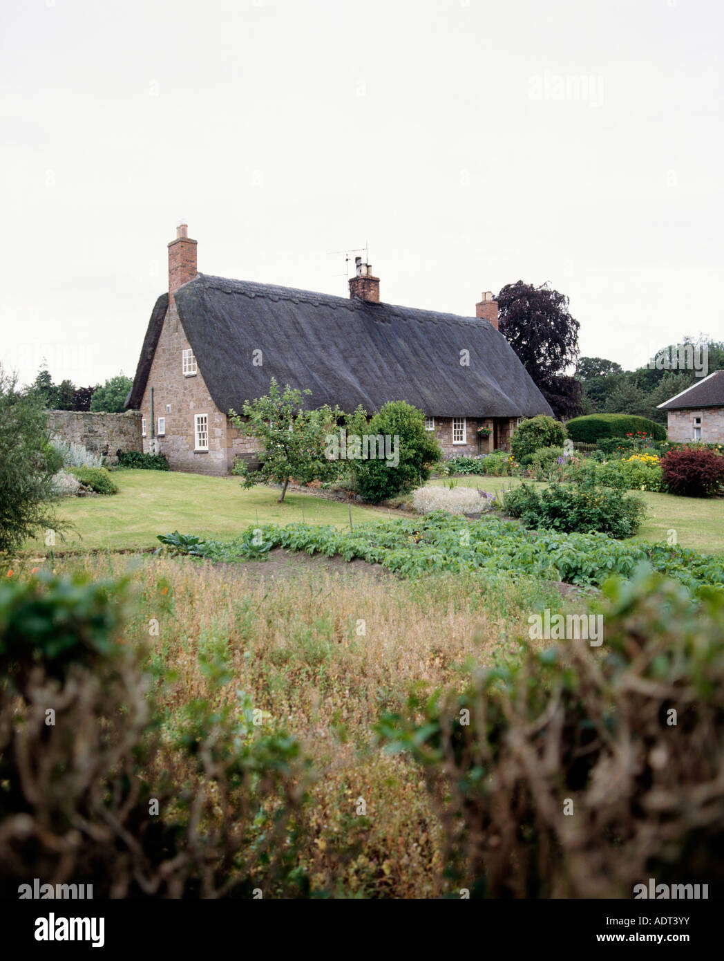 Traditional thatched English country cottage with large front garden ...