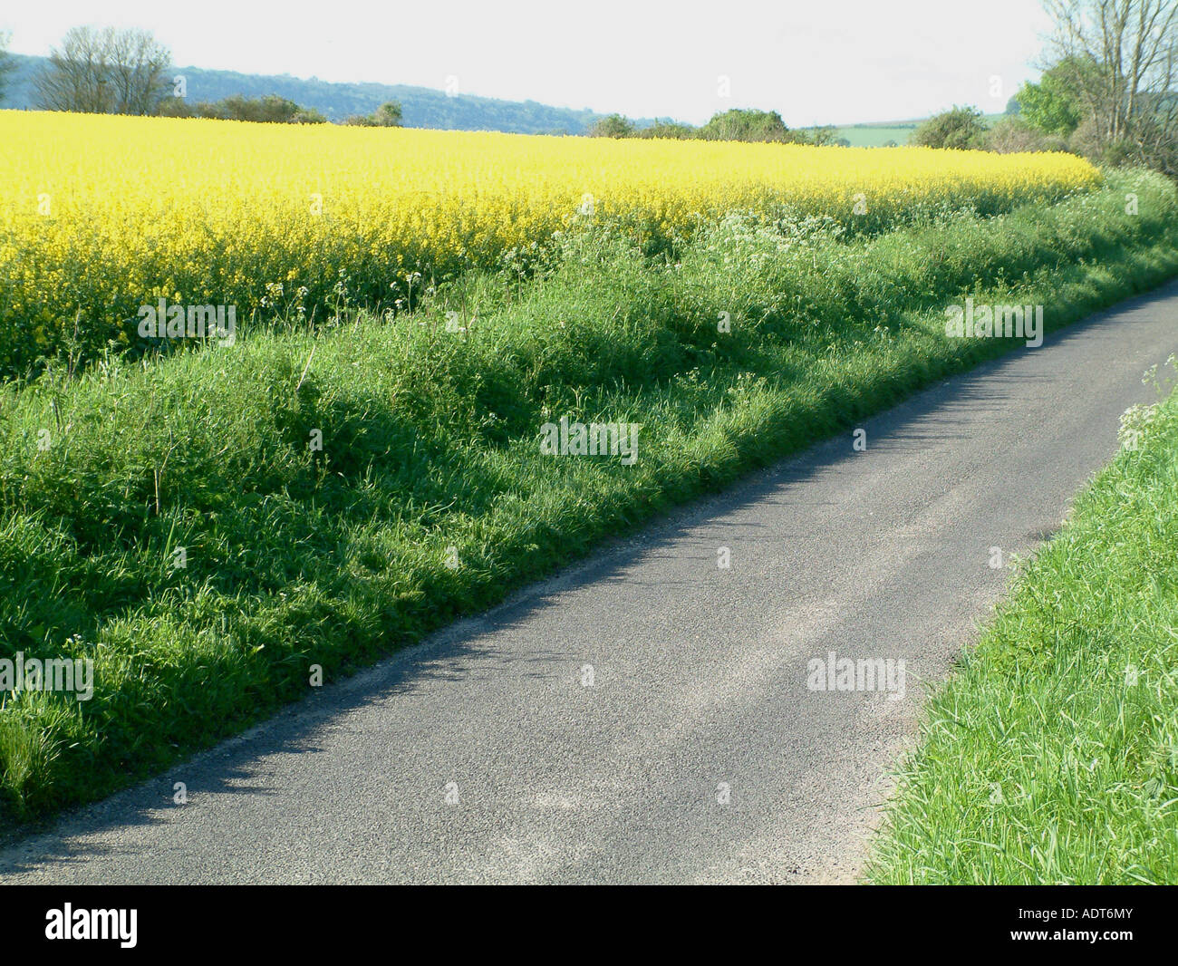 country lane through fields, near Lavant, West Sussex, England Stock ...