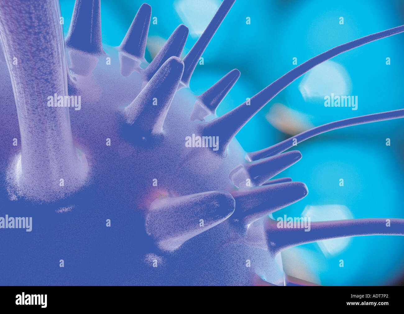 Microscopy of atoms hi-res stock photography and images - Alamy