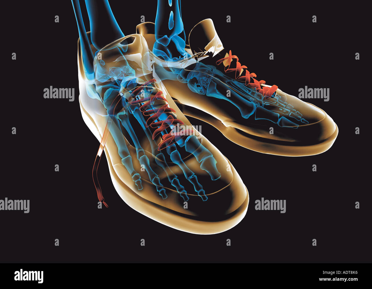 Skeleton feet shoes hi-res stock photography and images - Alamy
