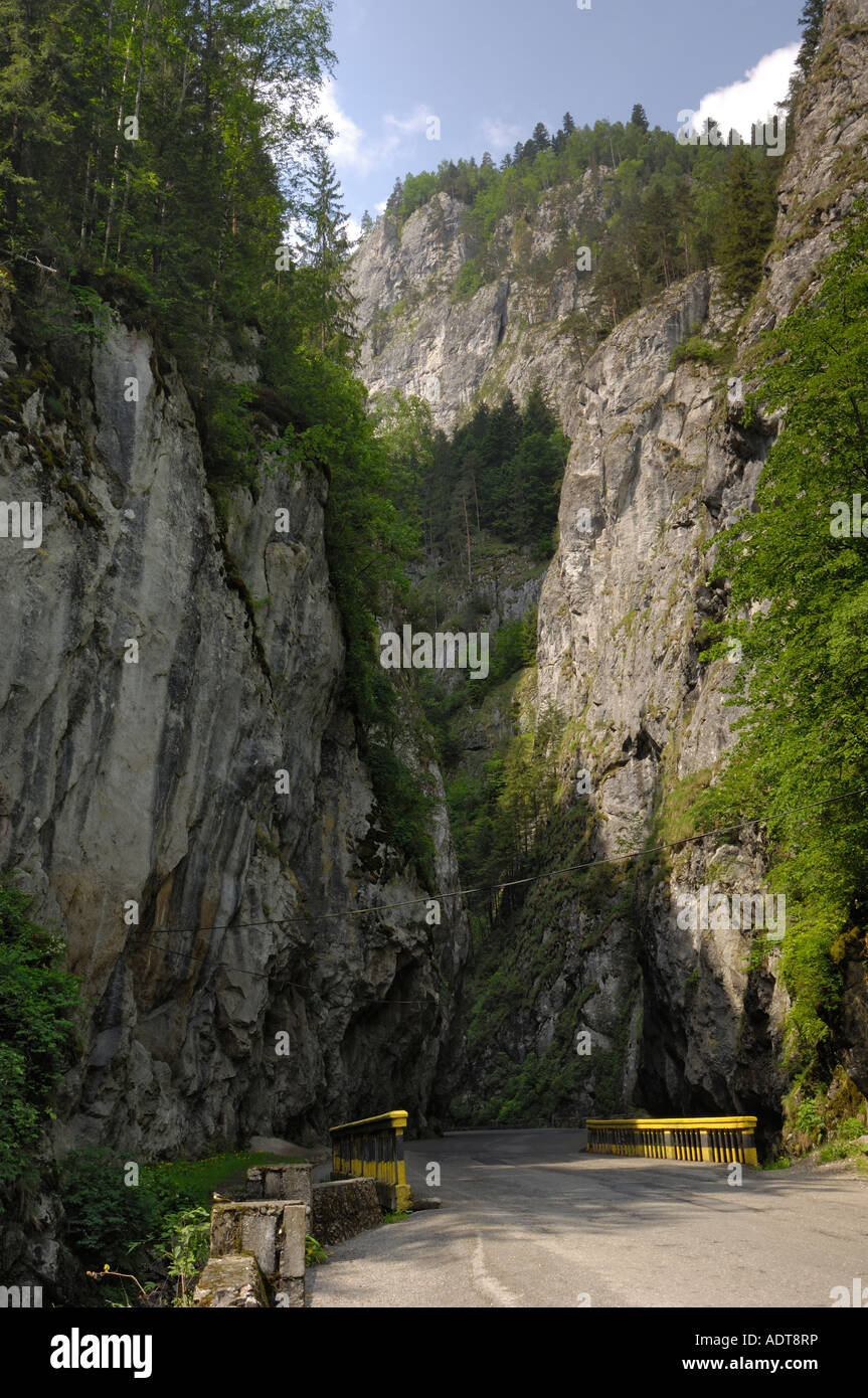 Bicaz Gorge, Moldavia, Romania Stock Photo - Alamy