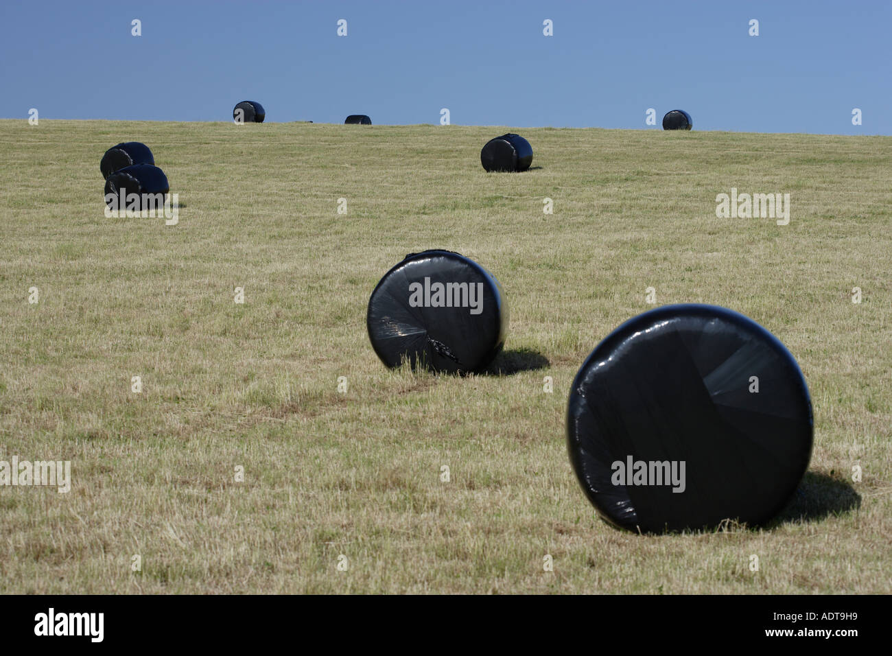 Black hay bales hi-res stock photography and images - Alamy