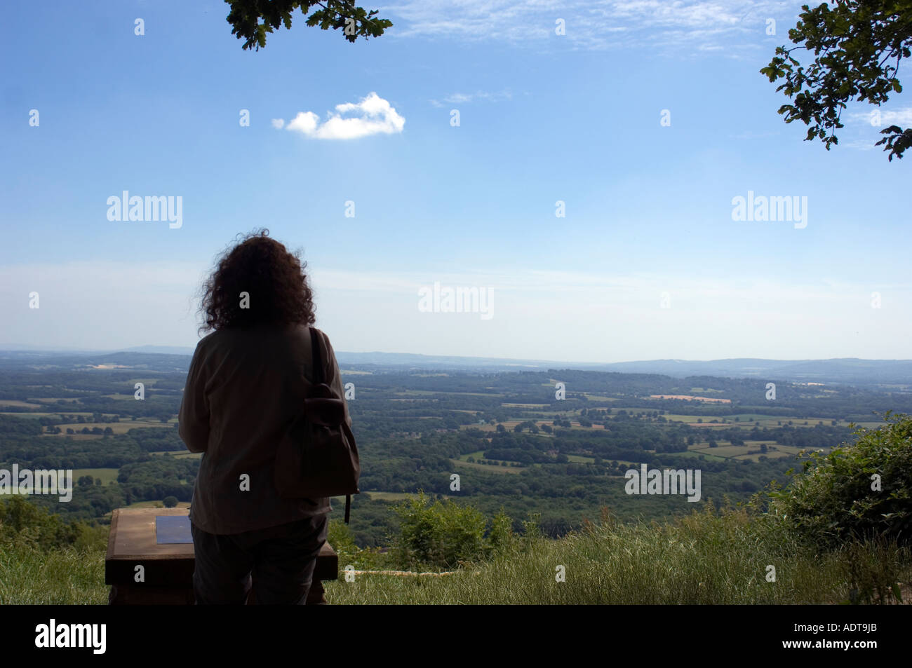 Blackdown south downs hi-res stock photography and images - Alamy