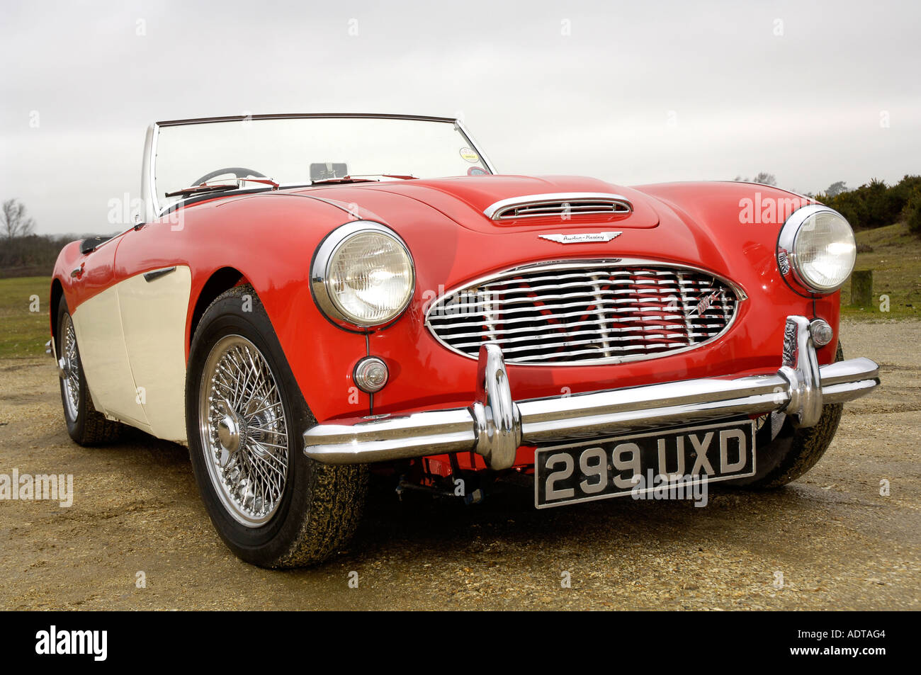 Austin healey hi-res stock photography and images - Alamy