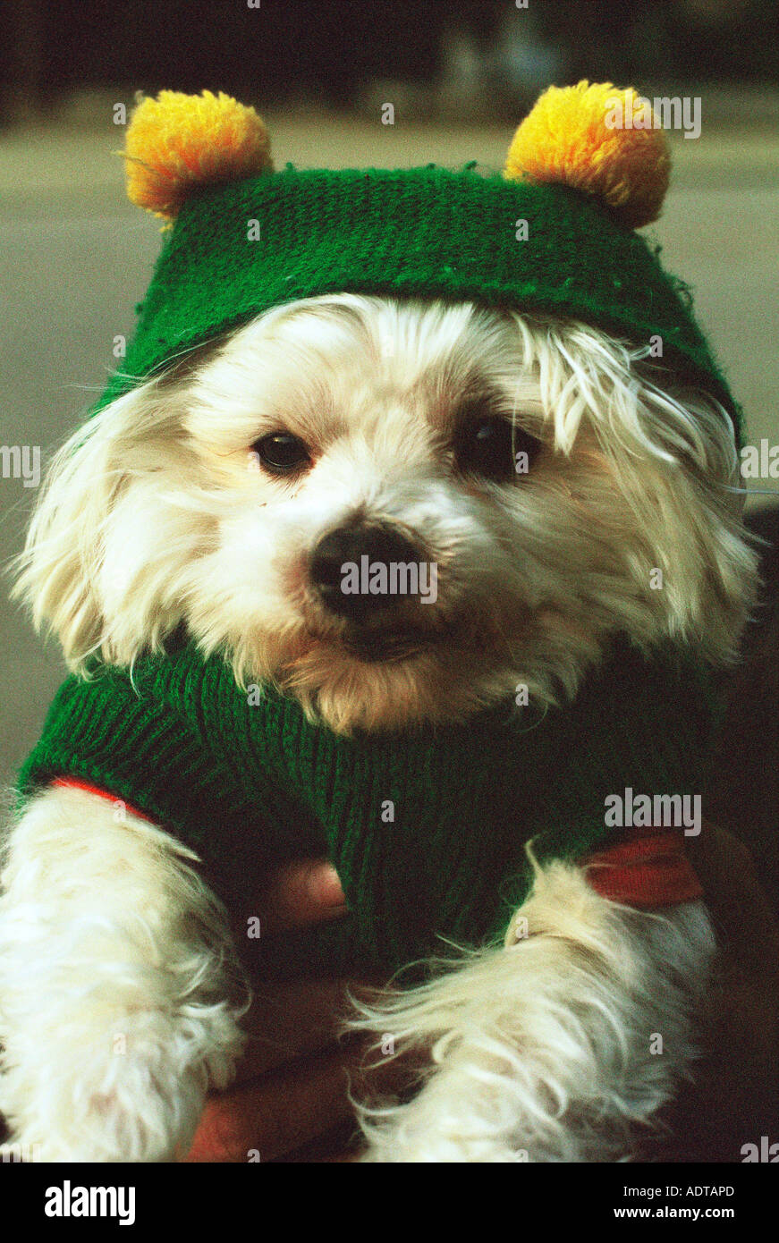 Osaka castle tour hi-res stock photography and images - Alamy