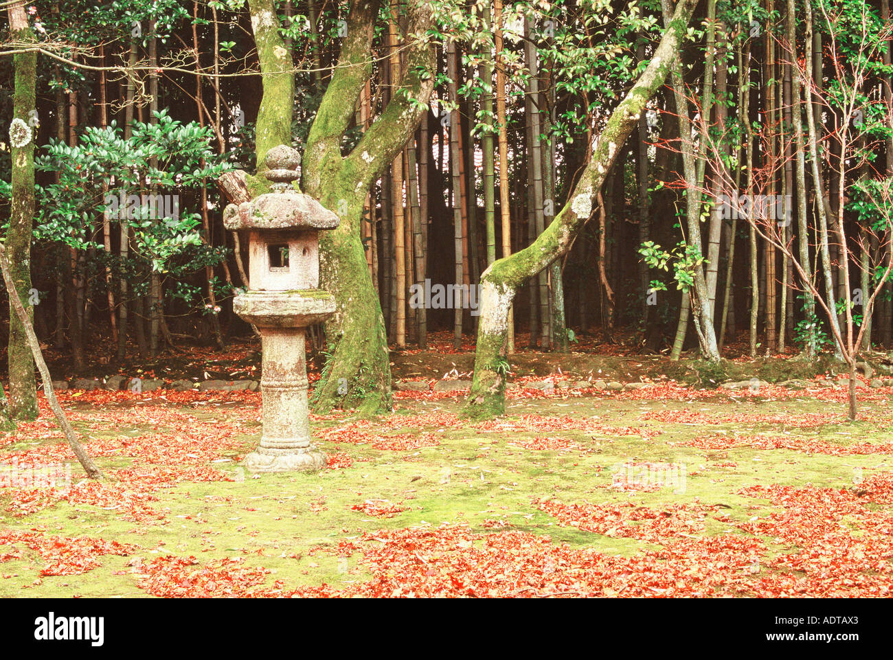 Koto In Temple High Resolution Stock Photography and Images - Alamy