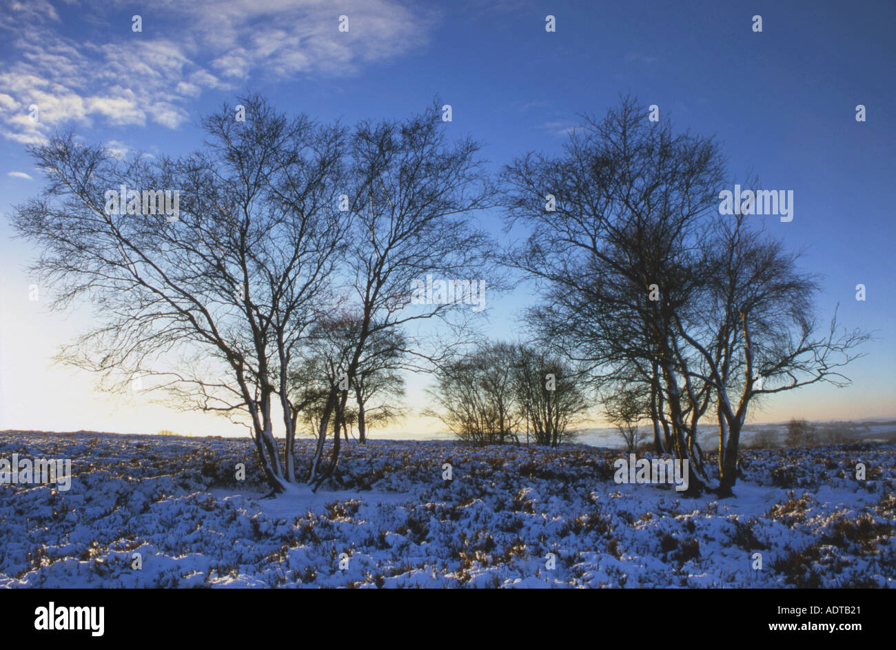 Stanton Moor in Snow Peak District National Park Derbyshire Stock Photo ...