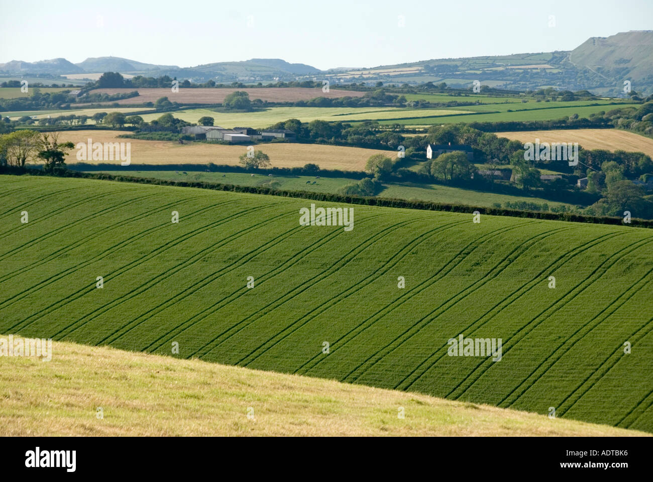 Cornish rural landscape close to the Lost Gardens of Heligan north west ...
