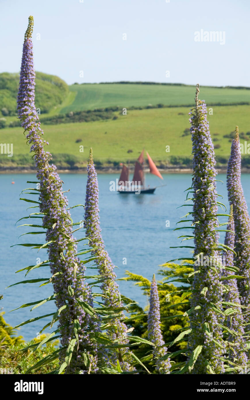 Fal estuary beyond hi-res stock photography and images - Alamy
